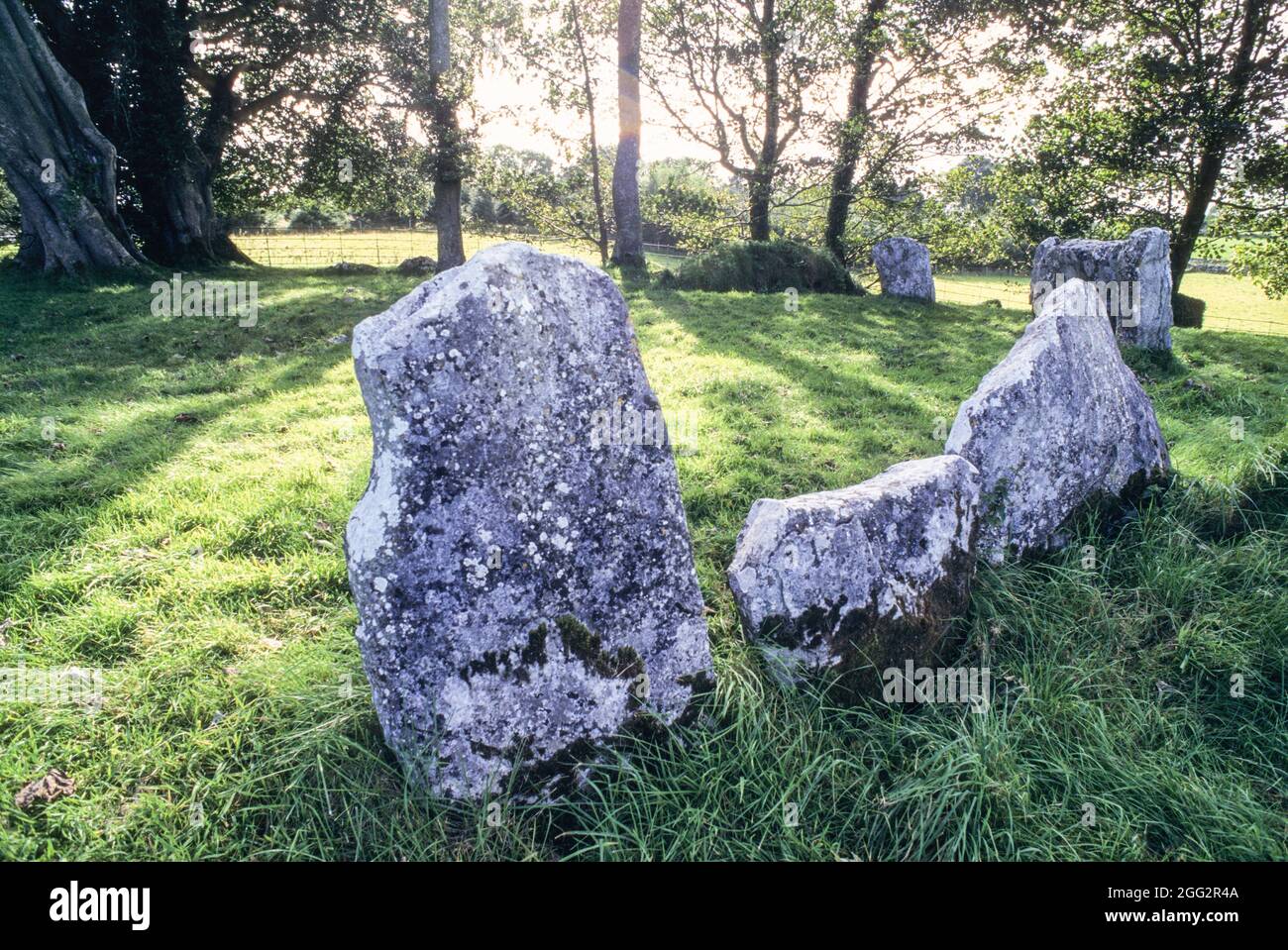 The Glebe Stone Circles near Cong, County Mayo, are a neolithic cult ...