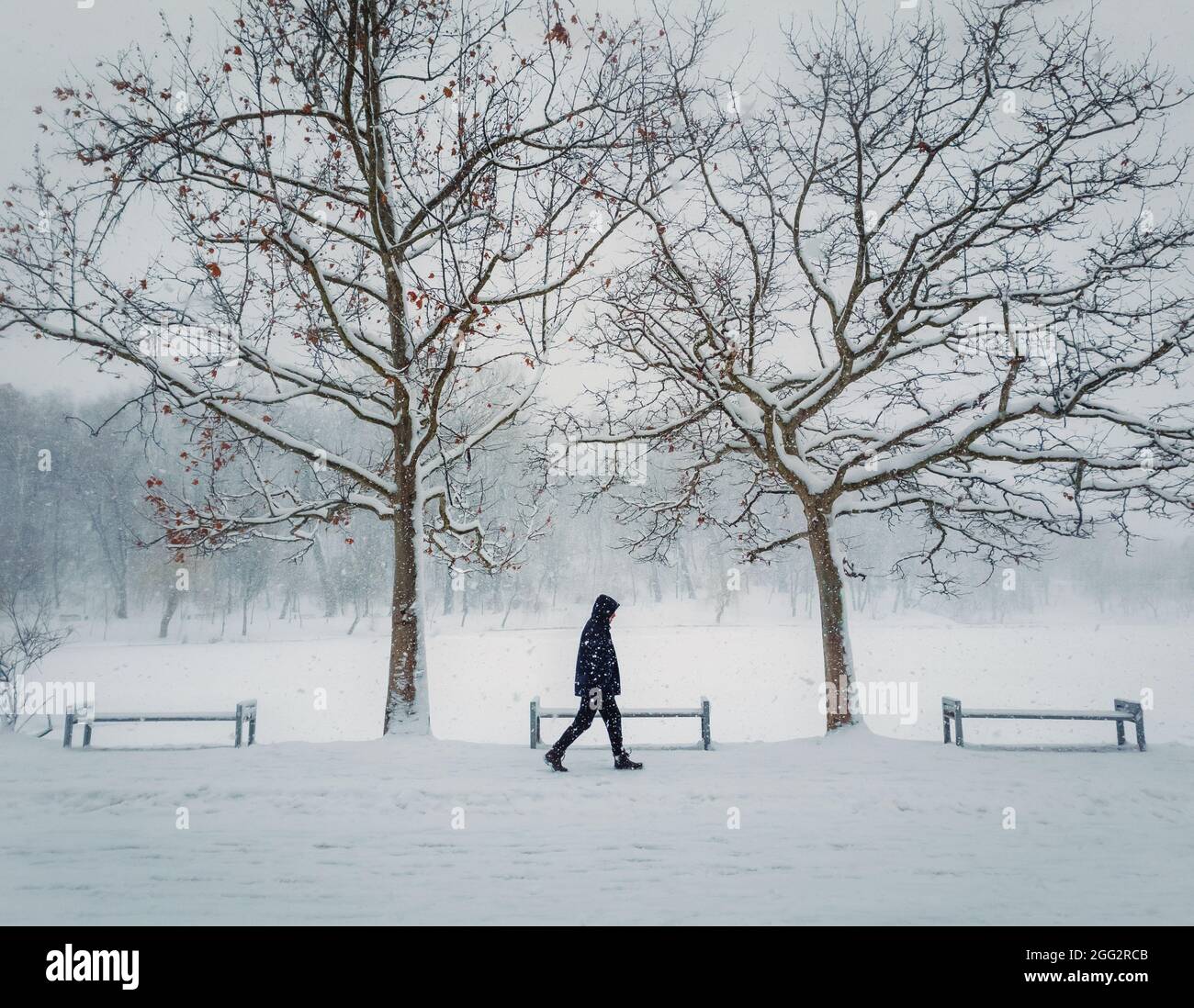 Wanderer in fog hi-res stock photography and images - Alamy
