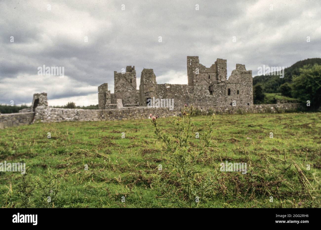 A view of the ruins. Cultural heritage for over 900 years: Fore Abbey ...