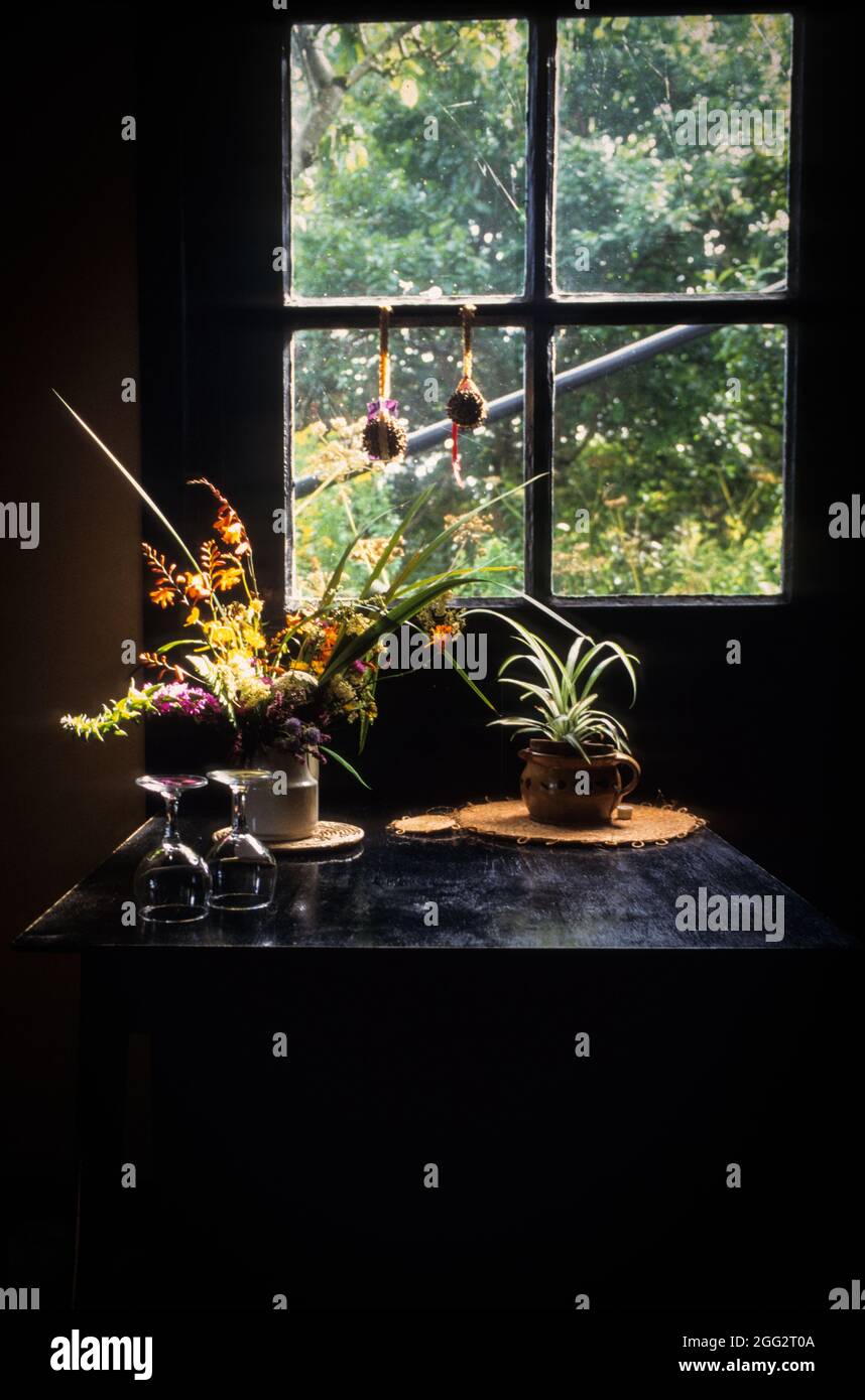 Flowers on a window. Still life in an Irish cottage Stock Photo - Alamy