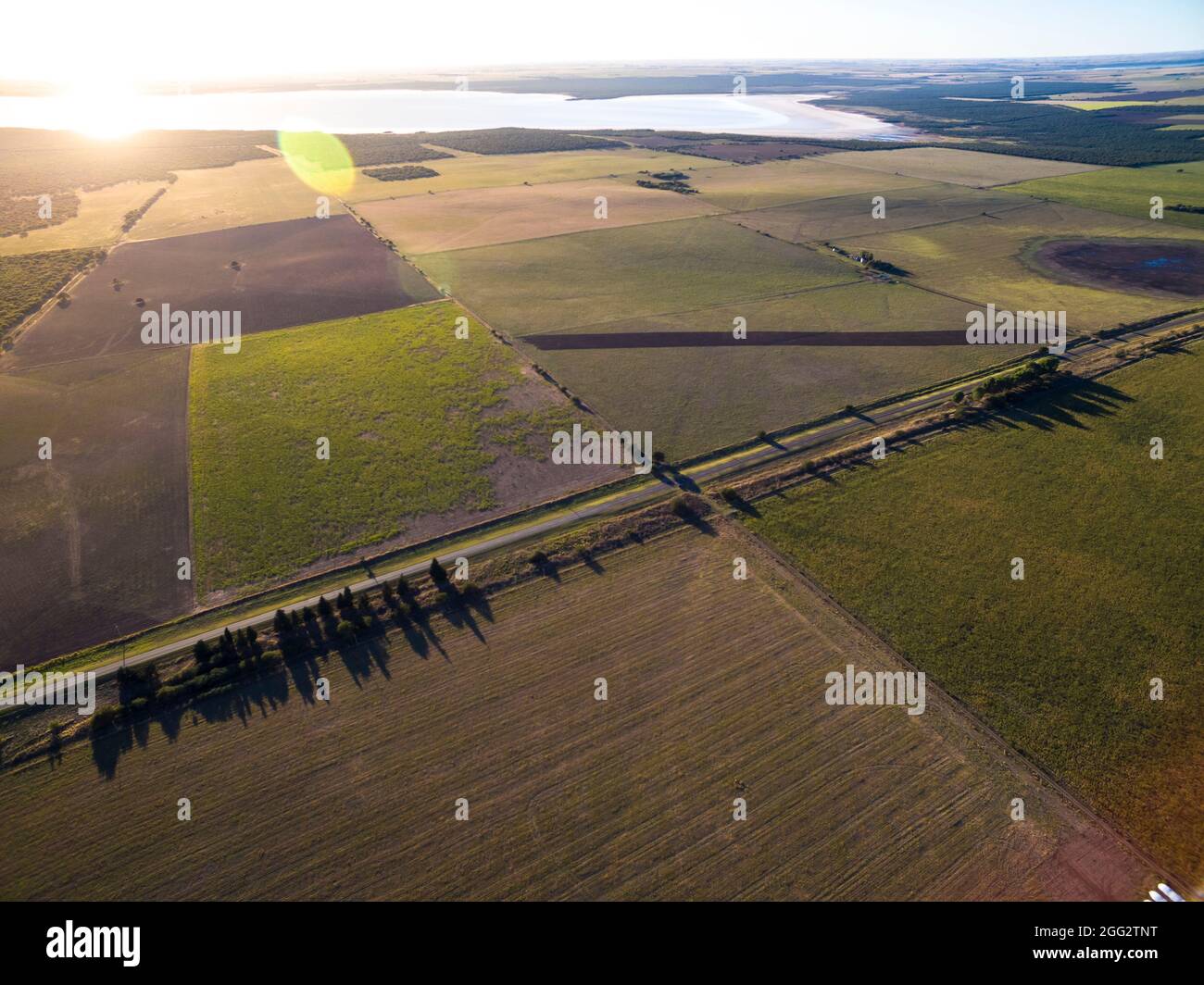 Aerial View of sown field in the Argentine countryside, Pampas province ...
