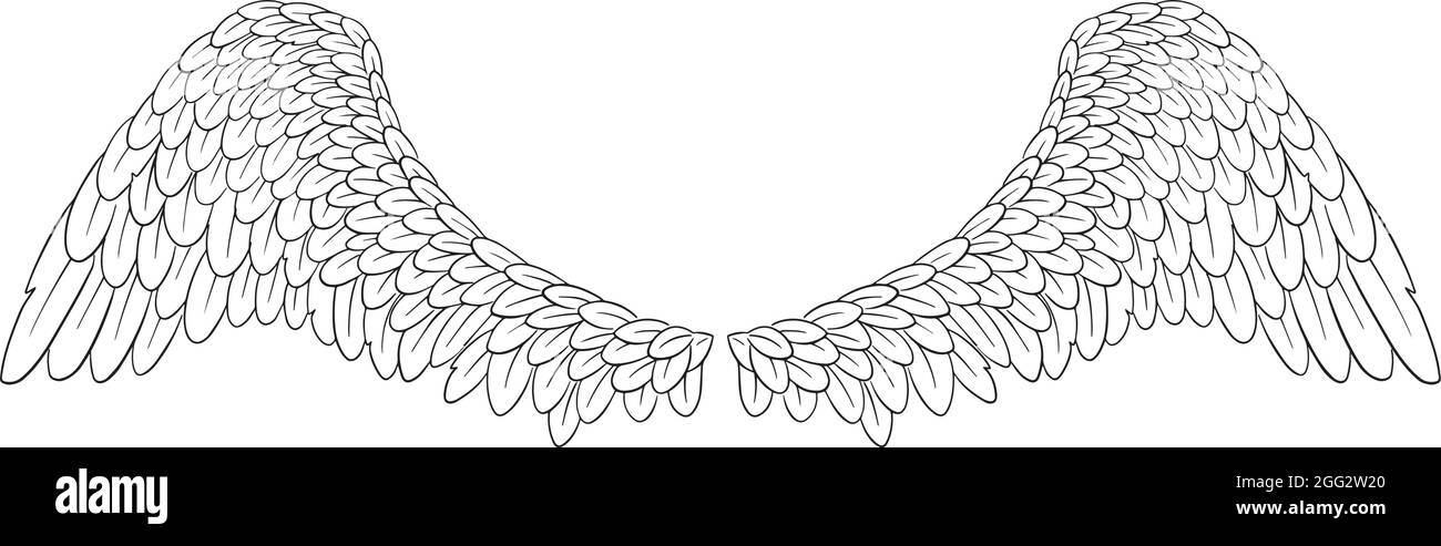 Angel Feather Wings Vector Illustration Stock Vector Image & Art - Alamy