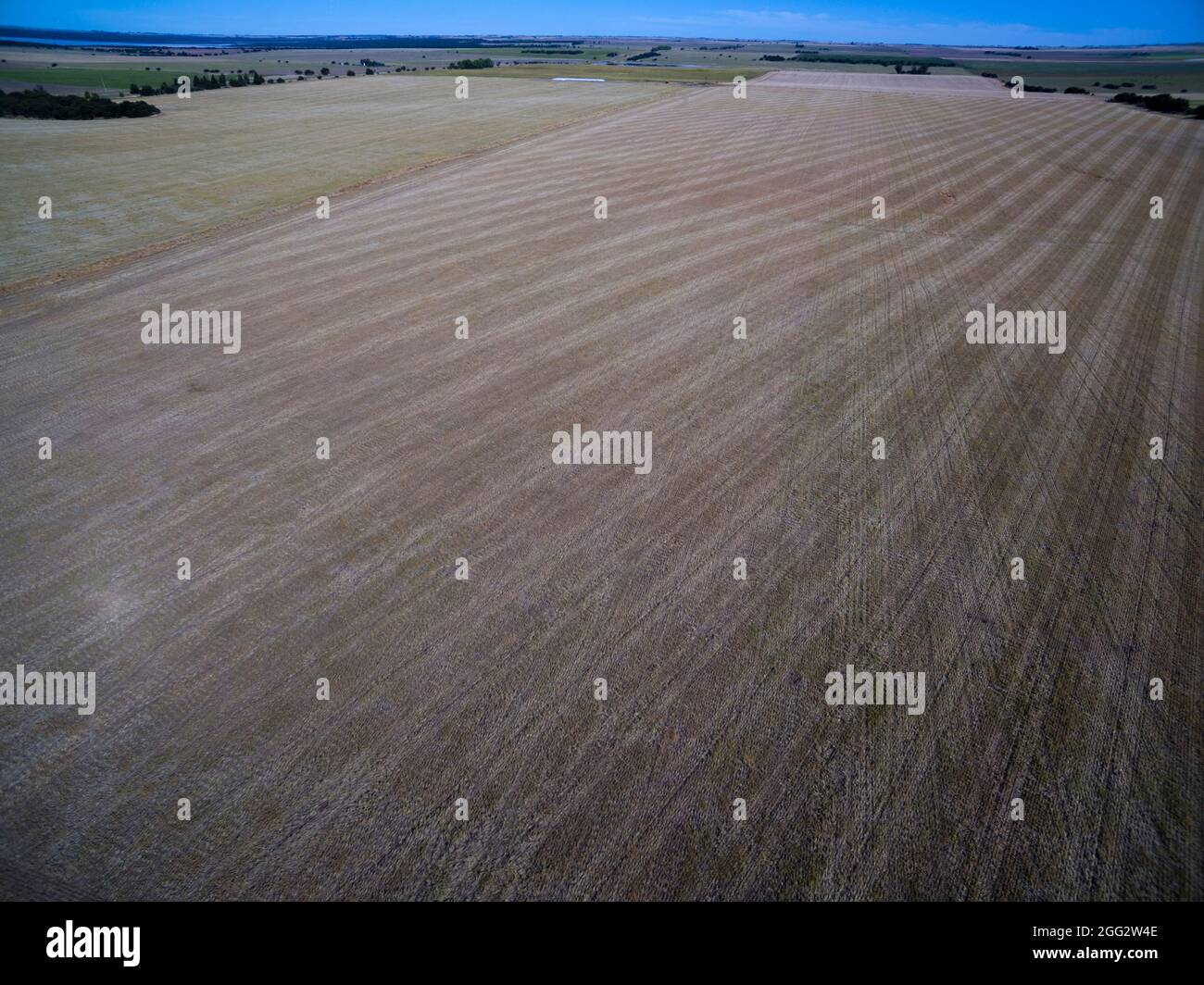 Aerial View of sown field in the Argentine countryside, Pampas province ...