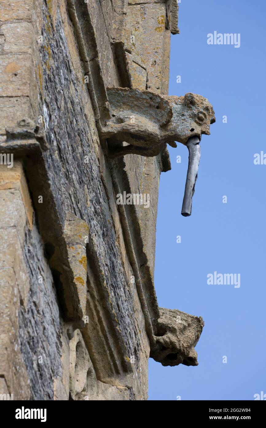 Gargoyles tower hi-res stock photography and images - Alamy