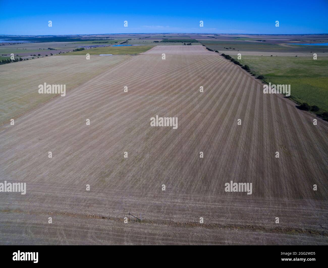 Humid pampa hi-res stock photography and images - Alamy