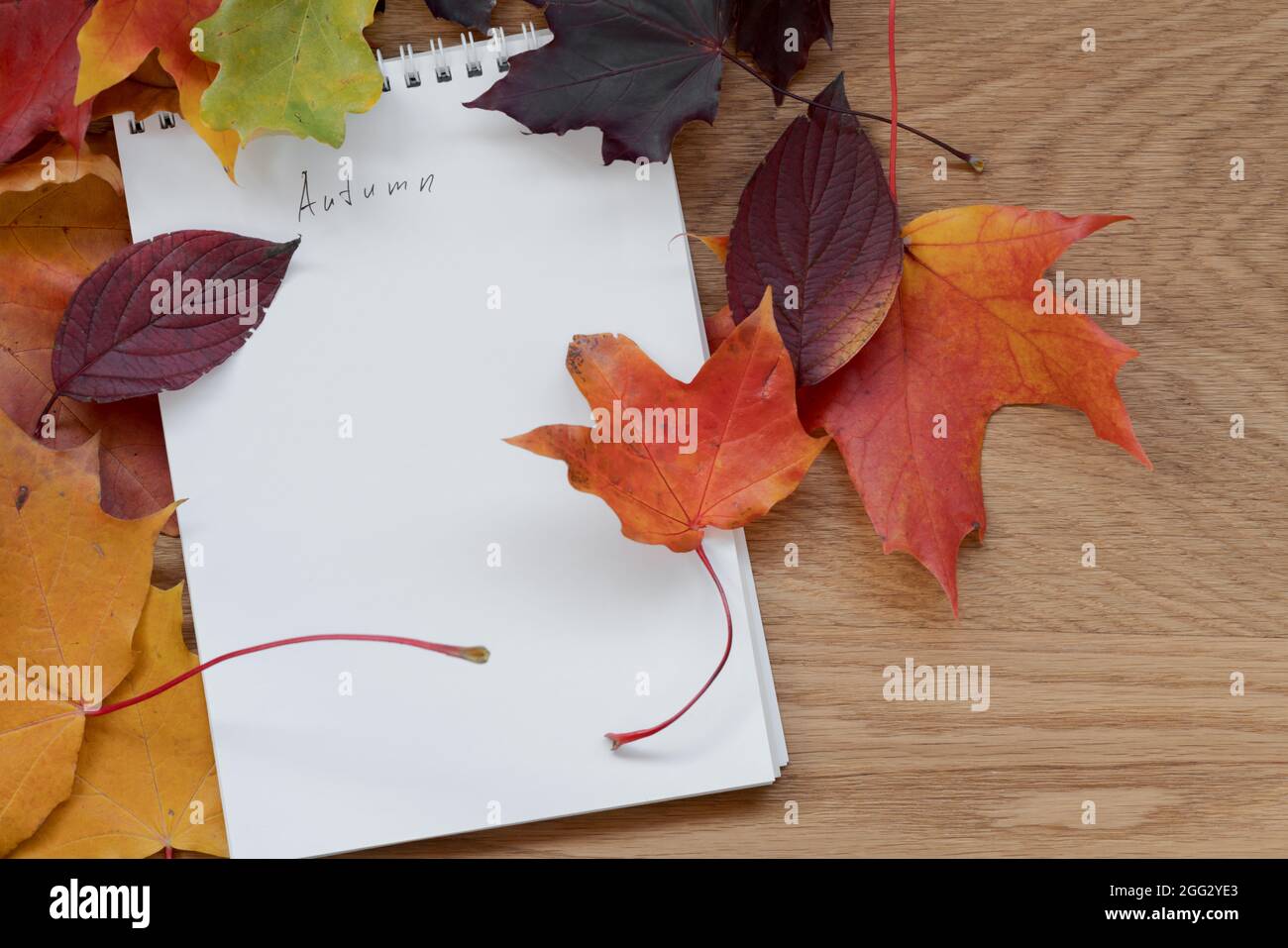 Autumn theme background with leaves over oak wood table with notepad ...