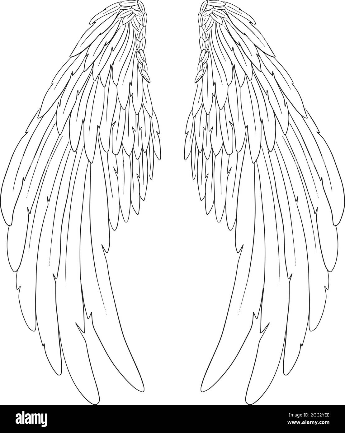 Angel Feather Wings Vector Illustration Stock Vector Image & Art - Alamy
