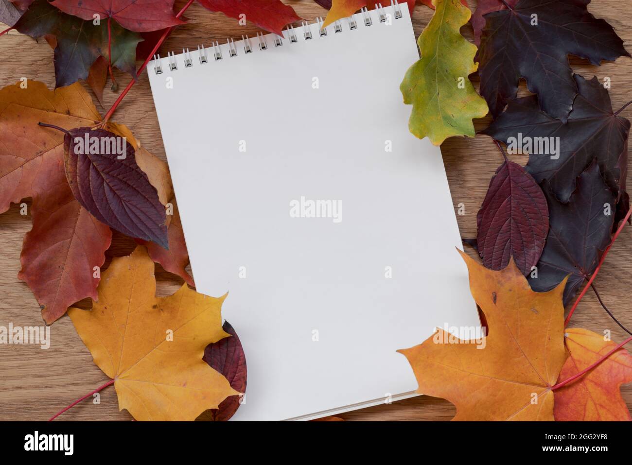 Autumn theme background with leaves over oak wood table with notepad ...