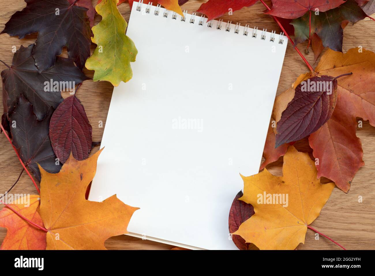 Autumn theme background with leaves over oak wood table with notepad ...