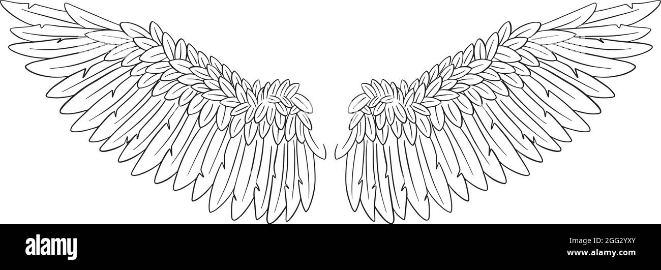 Angel Feather Wings Vector Illustration Stock Vector Image & Art - Alamy