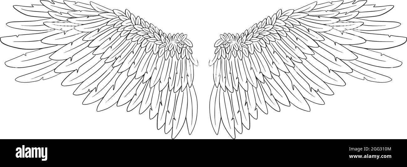 Angel Feather Wings Vector Illustration Stock Vector Image & Art - Alamy