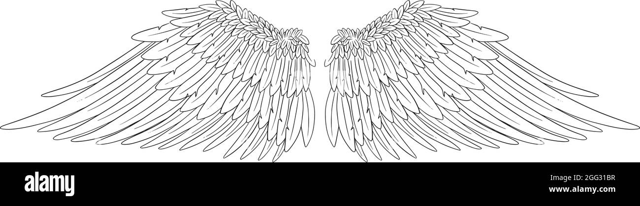 Angel Feather Wings Vector Illustration Stock Vector Image & Art - Alamy