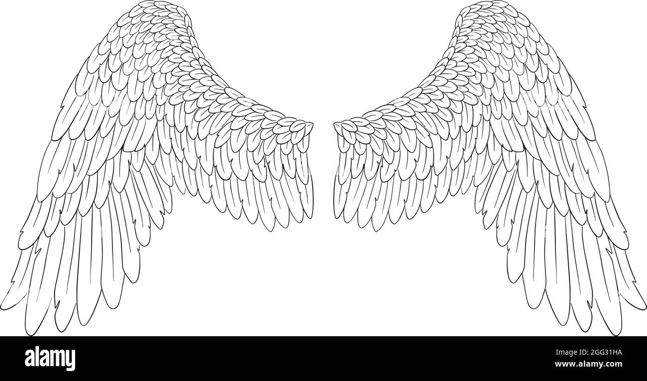 Angel Feather Wings Vector Illustration Stock Vector Image & Art - Alamy