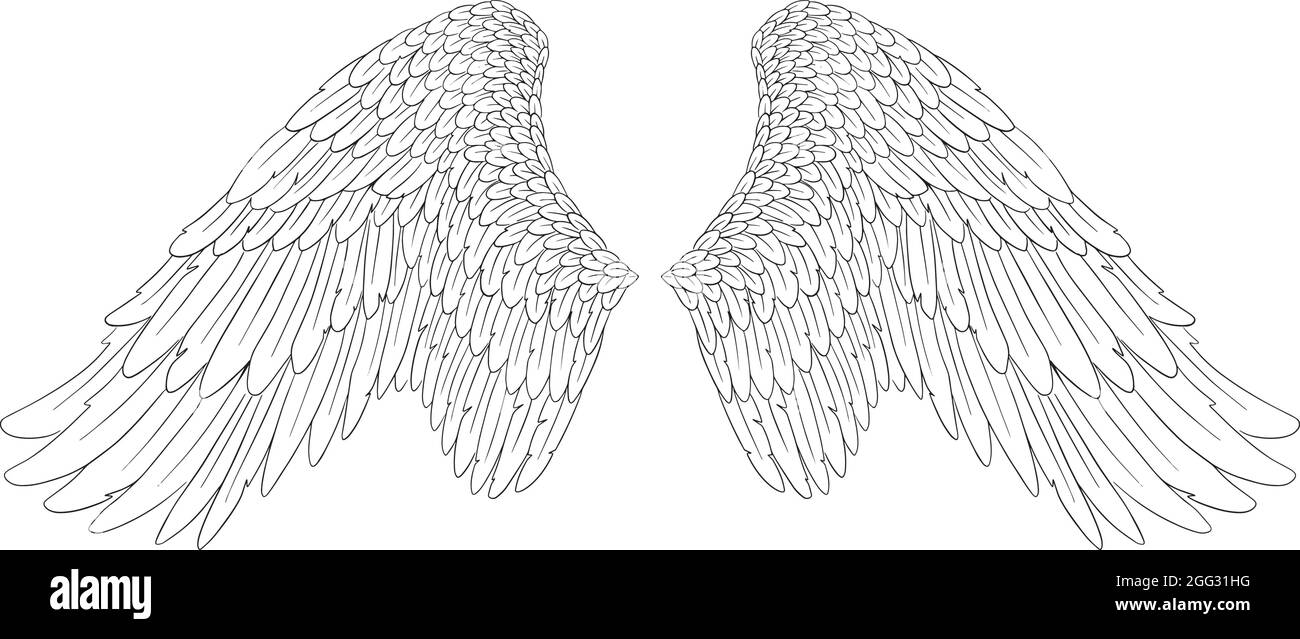 Angel Feather Wings Vector Illustration Stock Vector Image & Art - Alamy