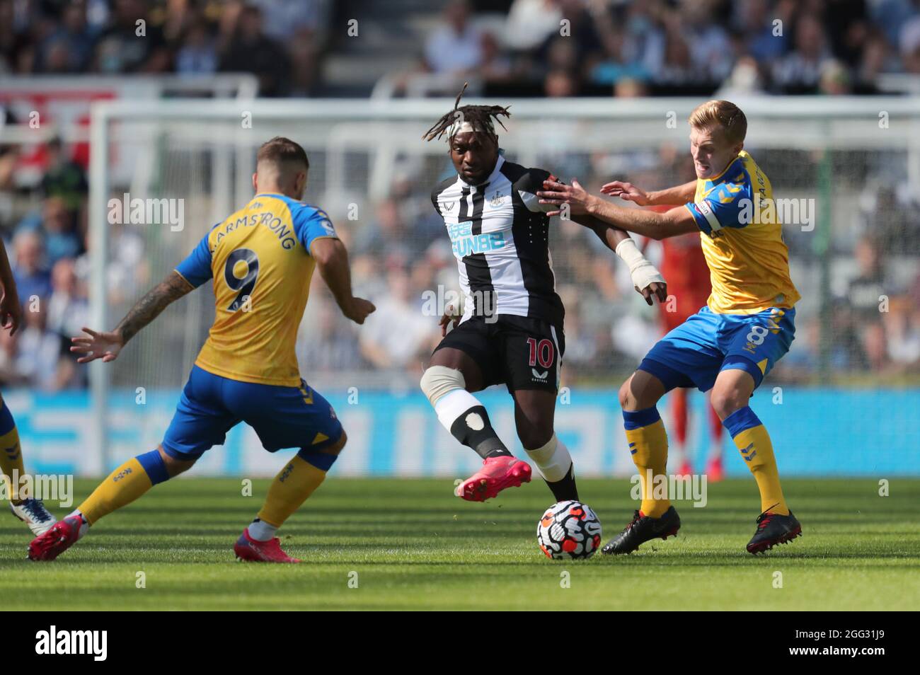 ADAM ARMSTRONG, ALLAN SAINT-MAXIMIN, JAMES WARD-PROWSE, NEWCASTLE ...