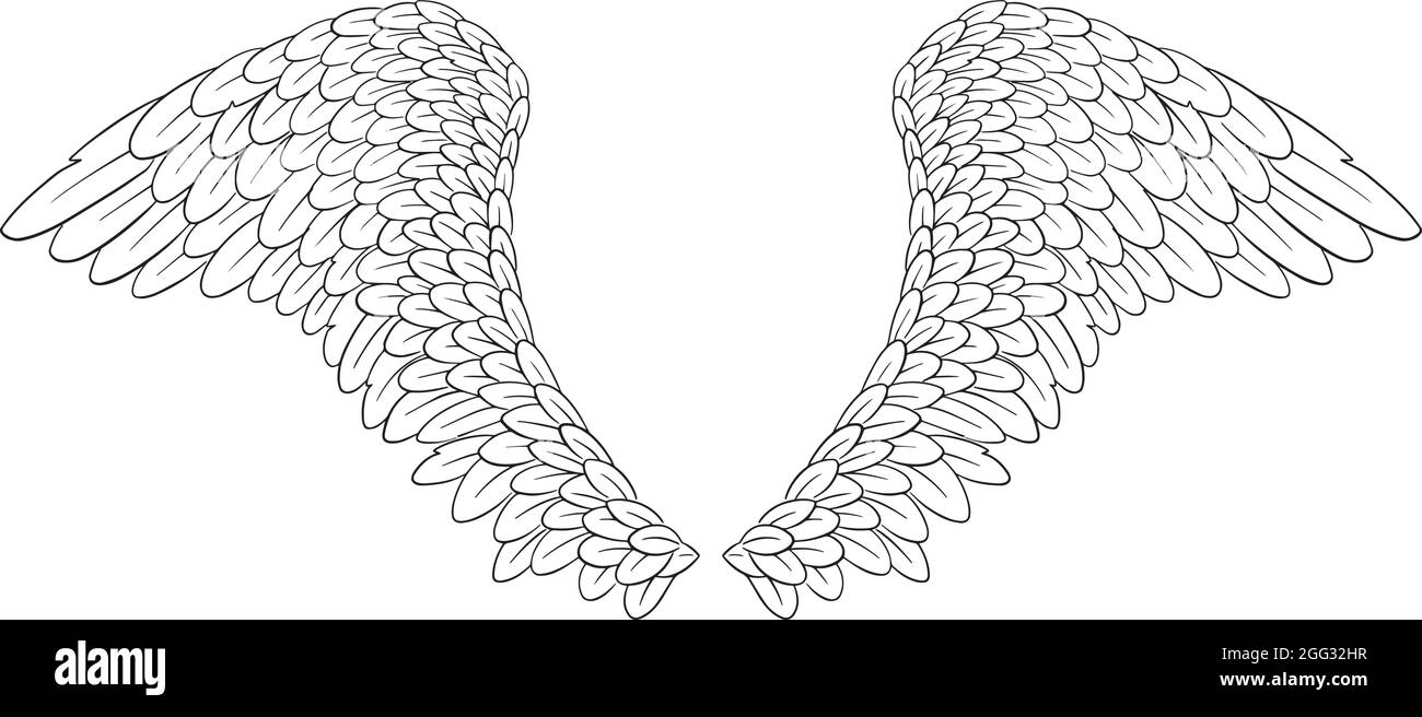 Angel Feather Wings Vector Illustration Stock Vector Image & Art - Alamy