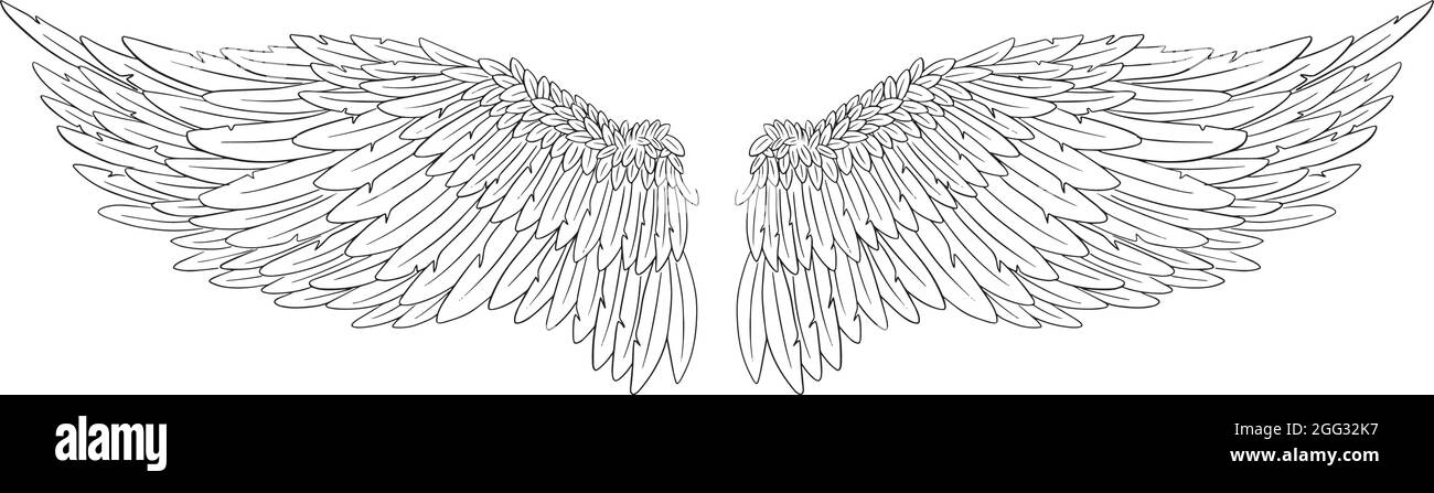 Angel Feather Wings Vector Illustration Stock Vector Image & Art - Alamy
