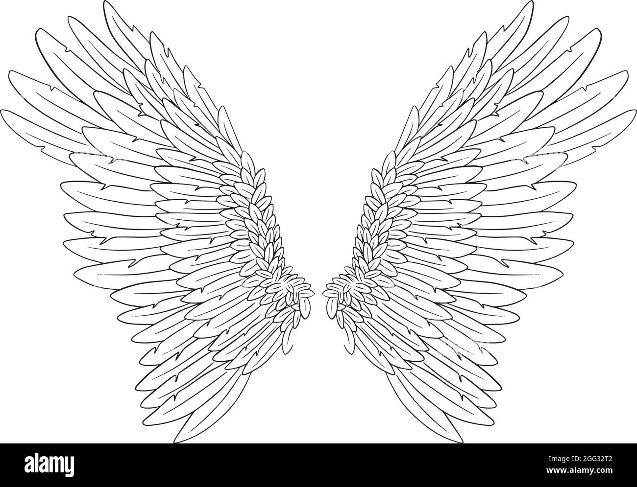 Angel Feather Wings Vector Illustration Stock Vector Image & Art - Alamy