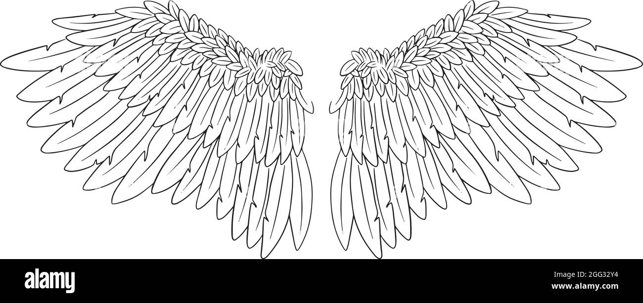 Angel Feather Wings Vector Illustration Stock Vector Image & Art - Alamy