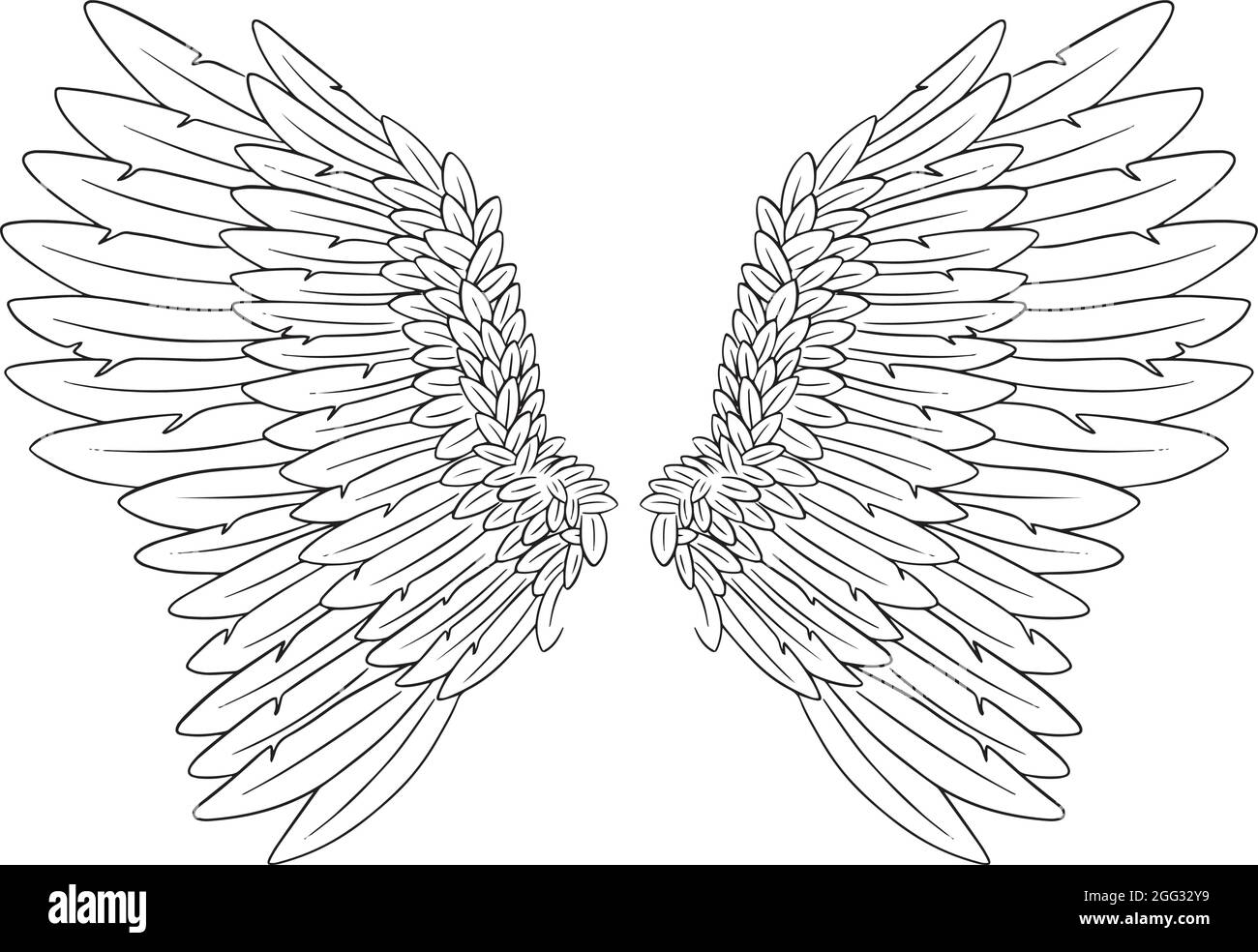 Angel Feather Wings Vector Illustration Stock Vector Image & Art - Alamy