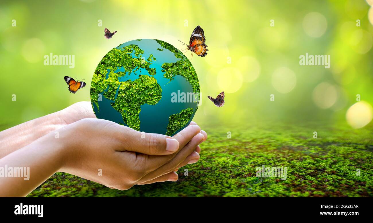Concept Save the world save environment The world is in the grass of ...