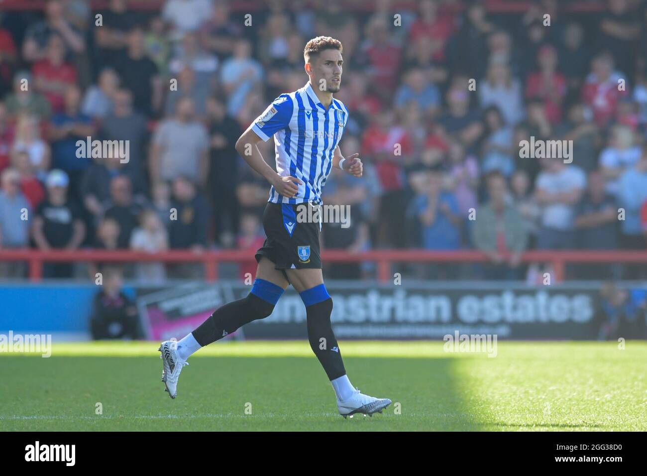 Theo Corbeanu #23 of Sheffield Wednesday comes on as a substitute Stock ...