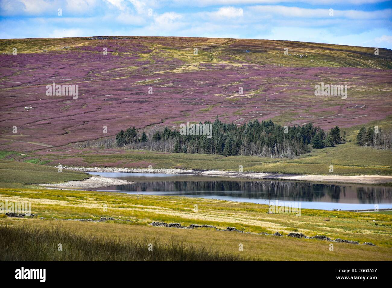 Gorple reservoir hi-res stock photography and images - Alamy