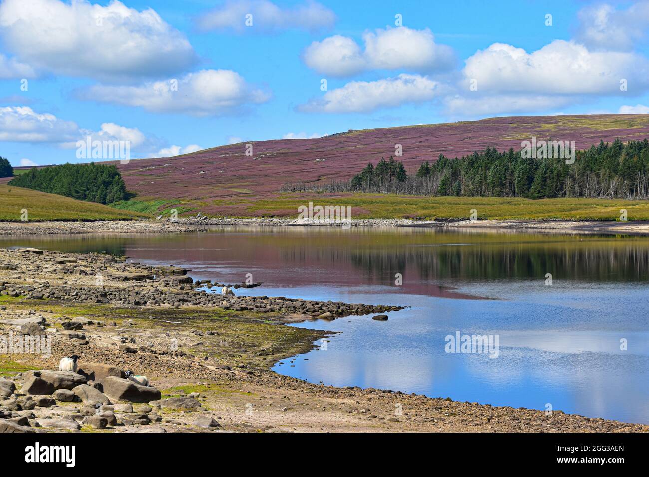 Gorple reservoir hi-res stock photography and images - Alamy