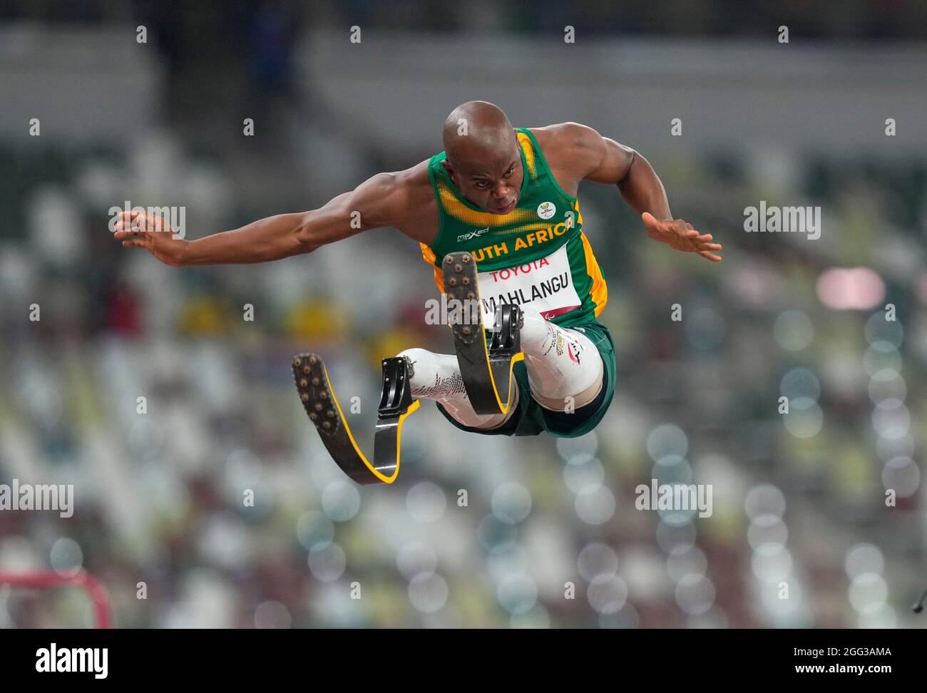 South africa at longjump hi-res stock photography and images - Alamy