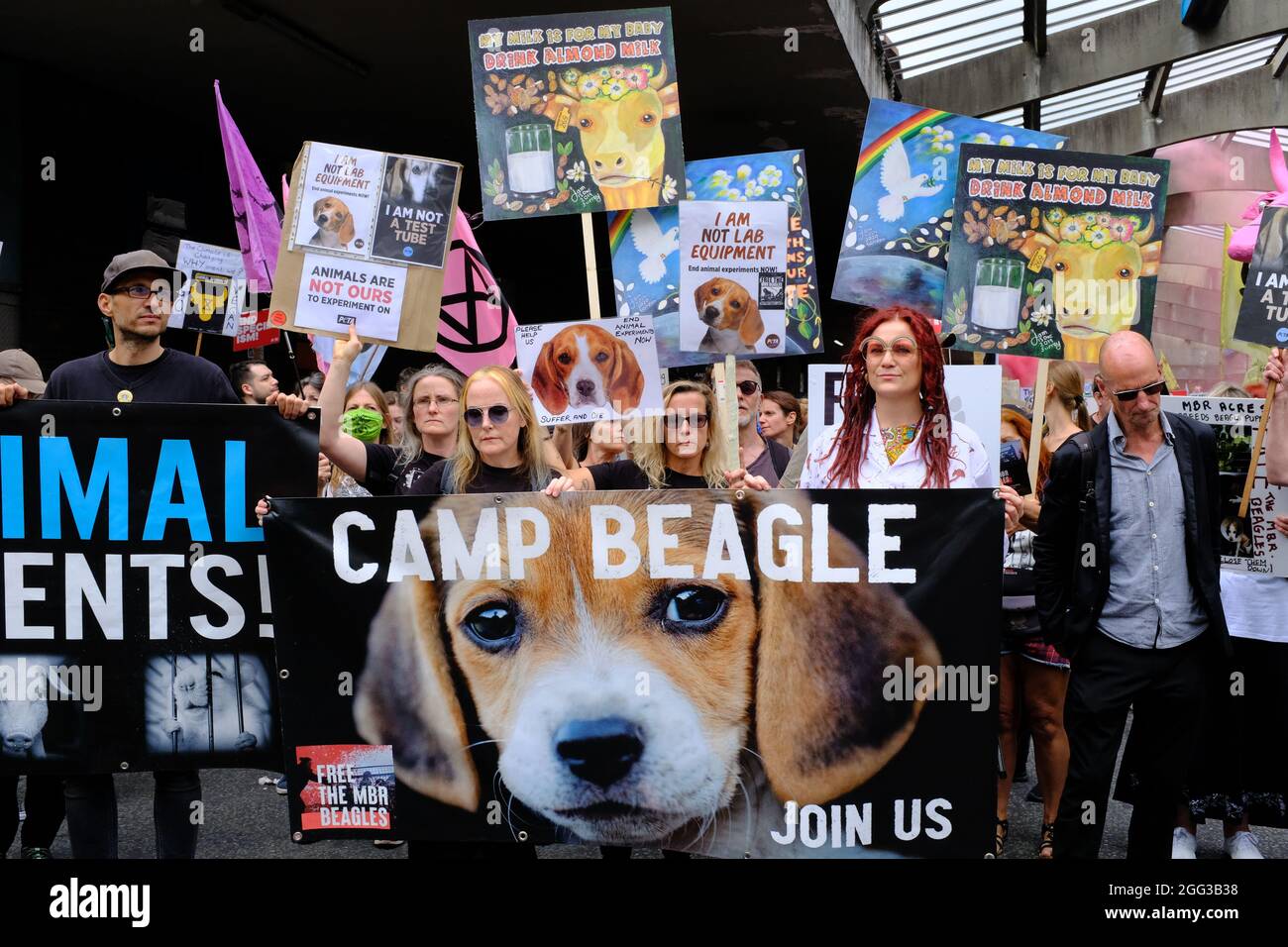 Animal testing protest hi-res stock photography and images - Alamy