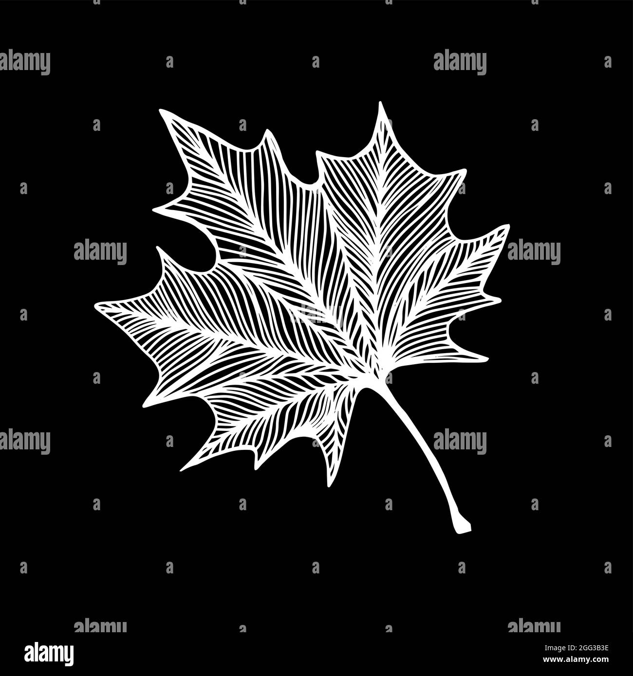 Maple leaf monochrome. Vector illustration Stock Vector Image & Art - Alamy