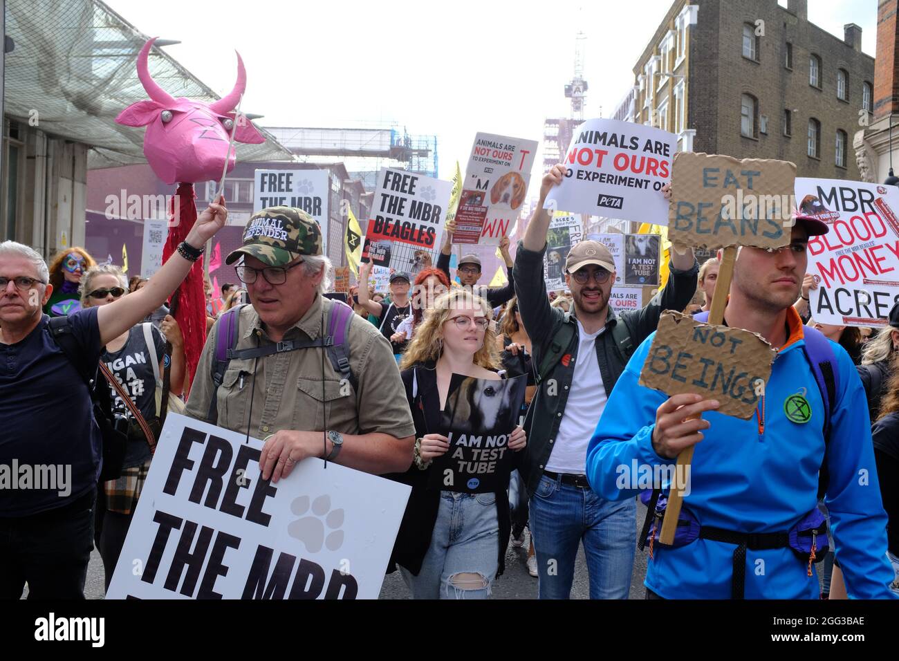 LONDON - 28TH AUGUST 2021: Animal Rebellion protesters on the National ...