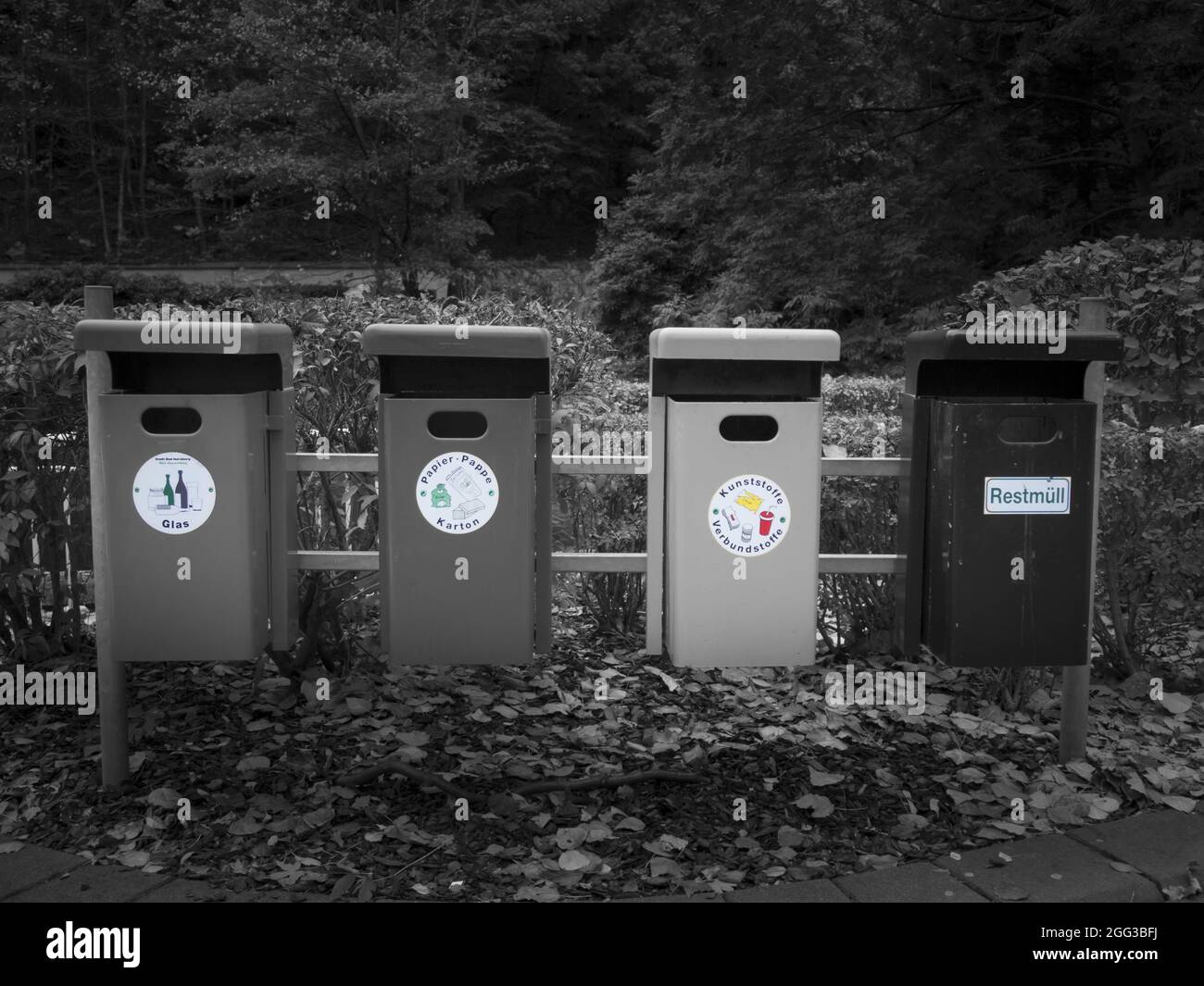 Black and white shot of trash bins in a forest Stock Photo - Alamy