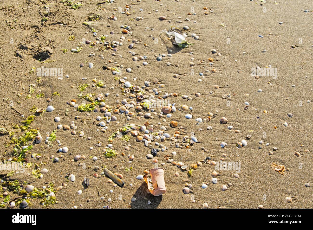 Plastics and other rubbish on the shore of a beach mixed with the sand ...