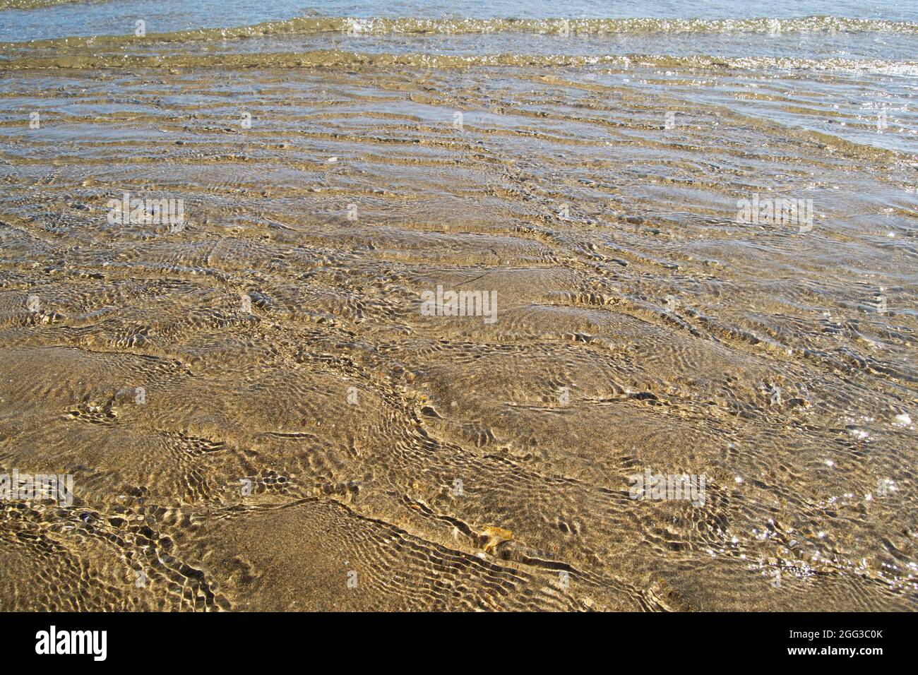 Transparent water on the shore of a beach with sea shells. Background ...