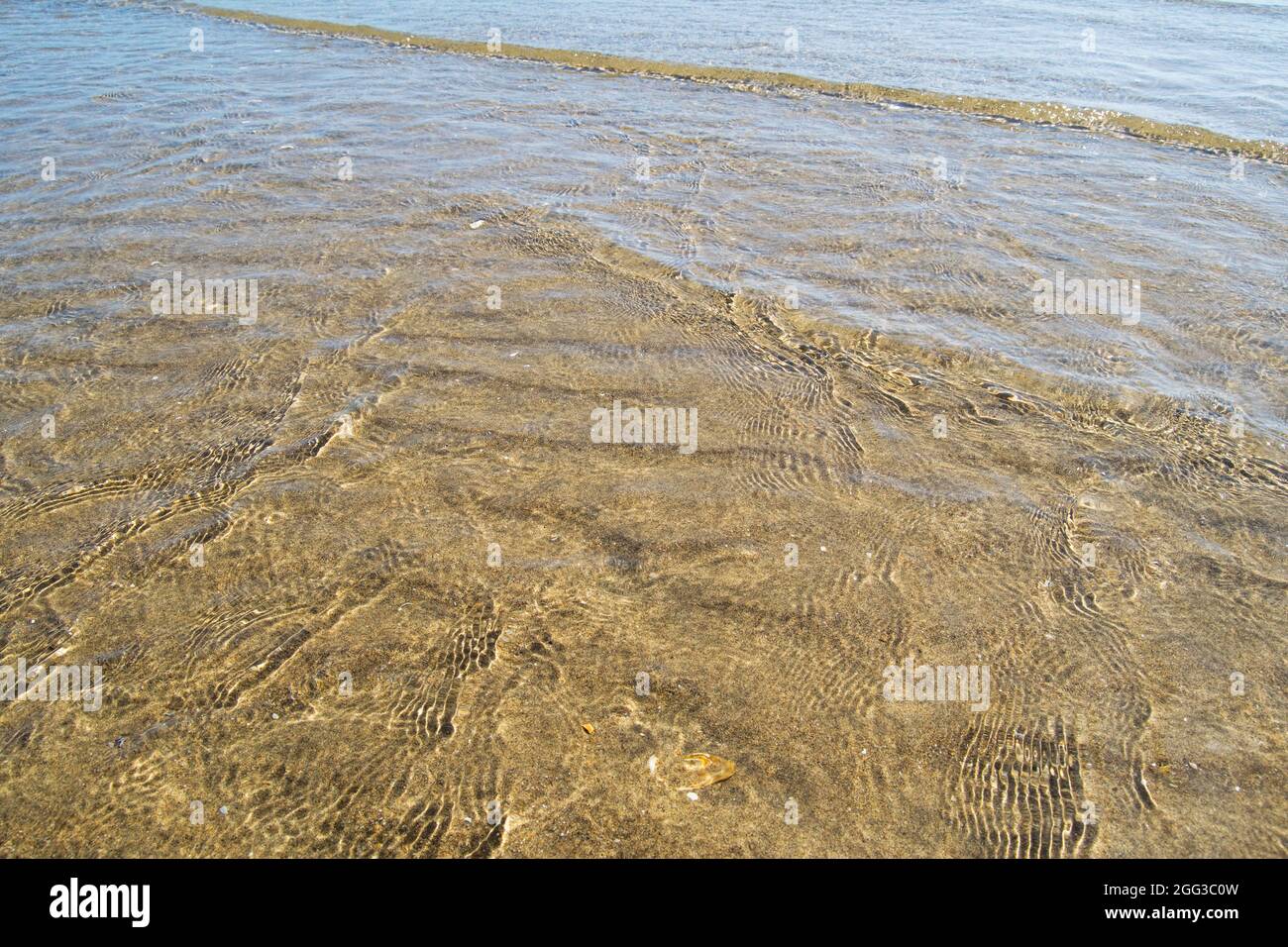 Transparent water on the shore of a beach with sea shells and sand in ...