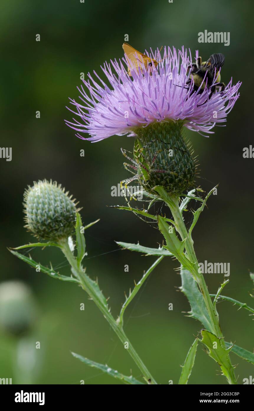 What lurks below hi-res stock photography and images - Alamy