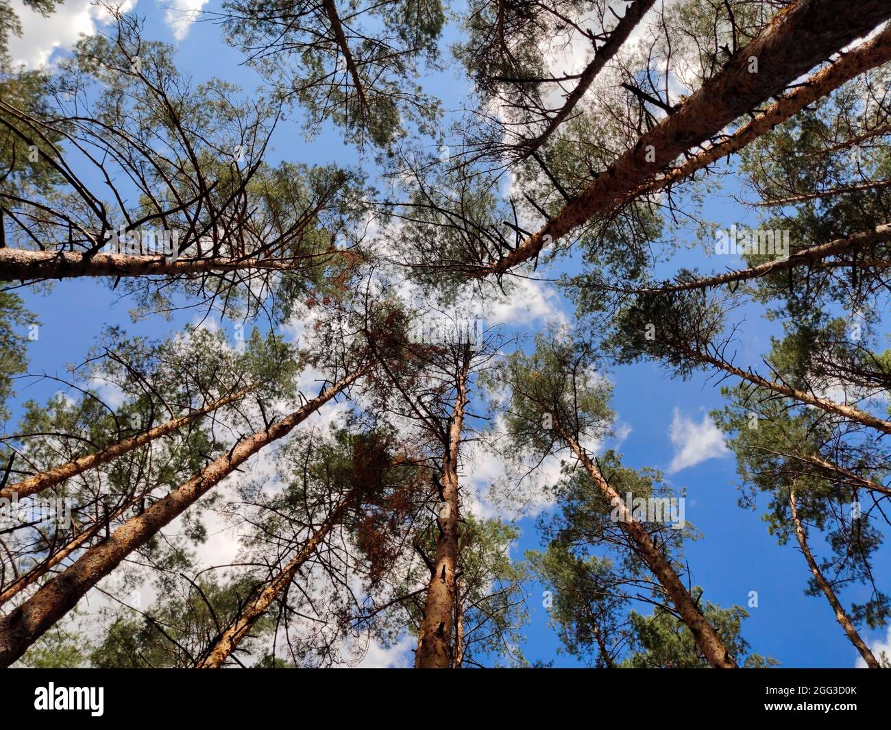 Bottom up shooting hi-res stock photography and images - Alamy