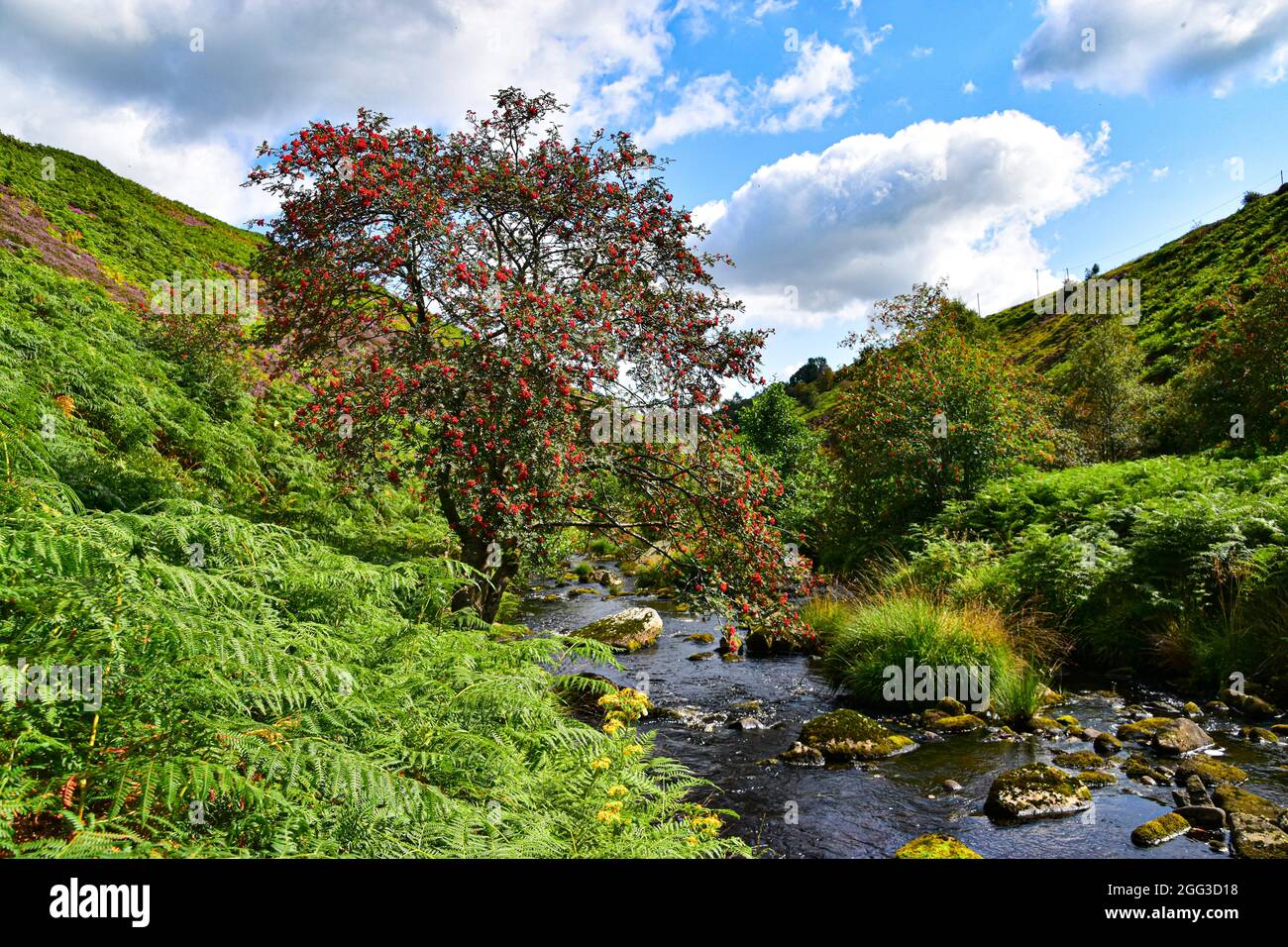 Rowan and Heather in Blake Dean, Hardcastle Crags, Hebden Bridge ...