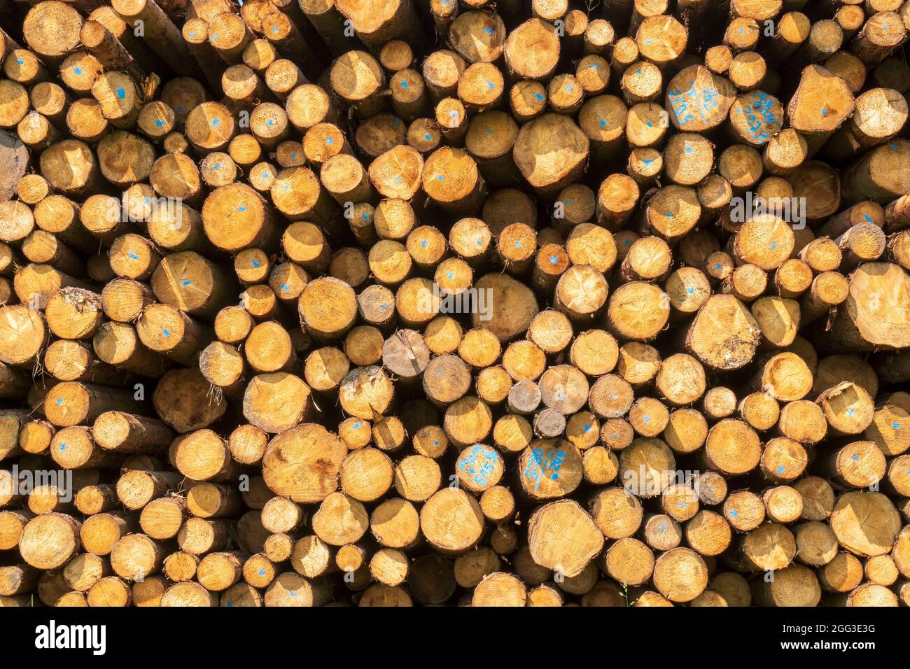 Storage texture hi-res stock photography and images - Alamy