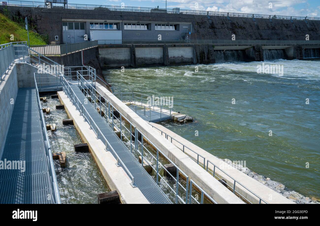 fish ladder for migration and spawning at river Stock Photo - Alamy