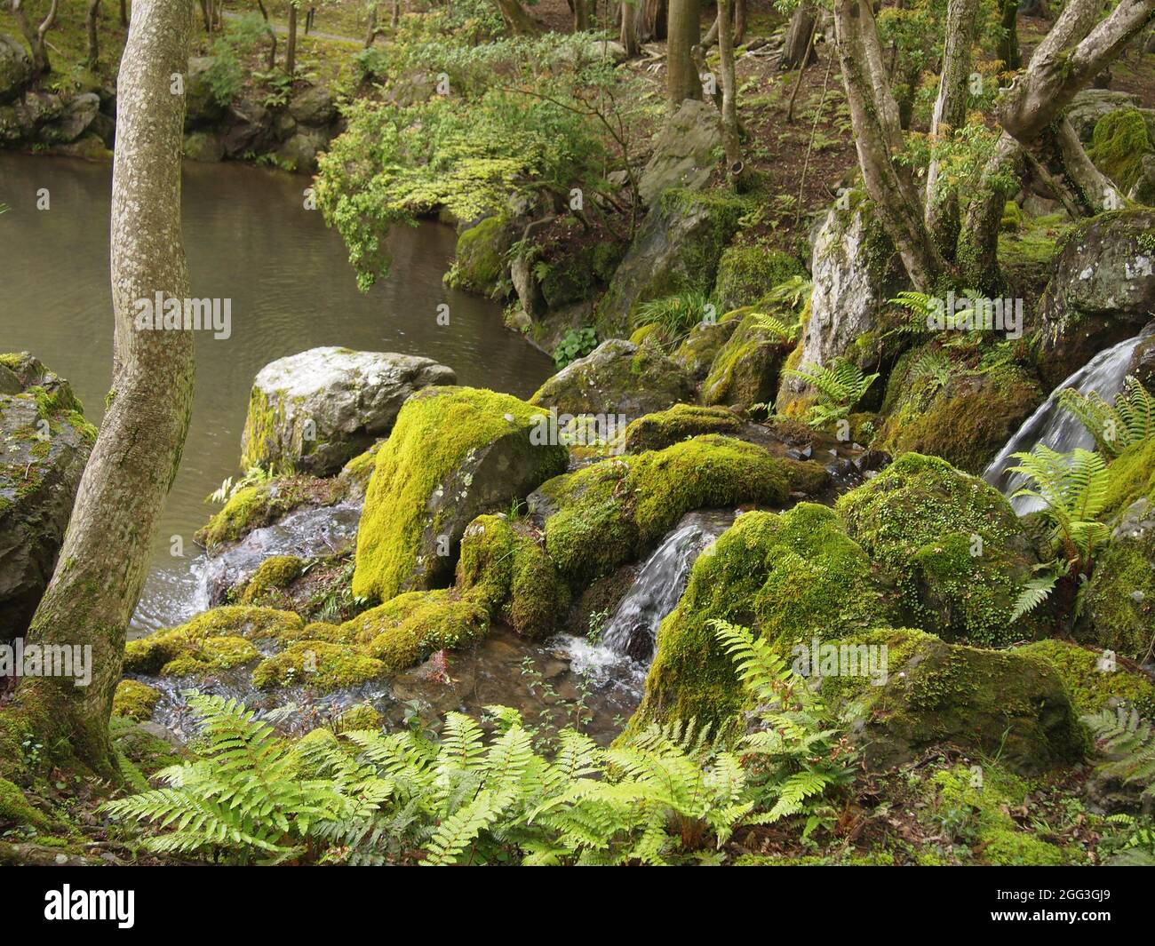 Temple in natural landscape hi-res stock photography and images - Alamy