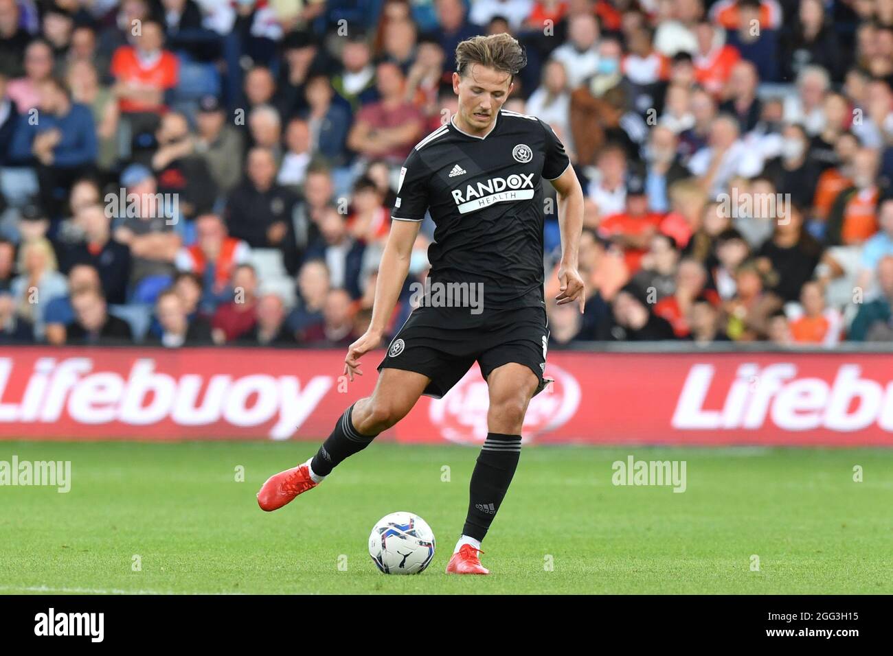 Richard sander hi-res stock photography and images - Alamy