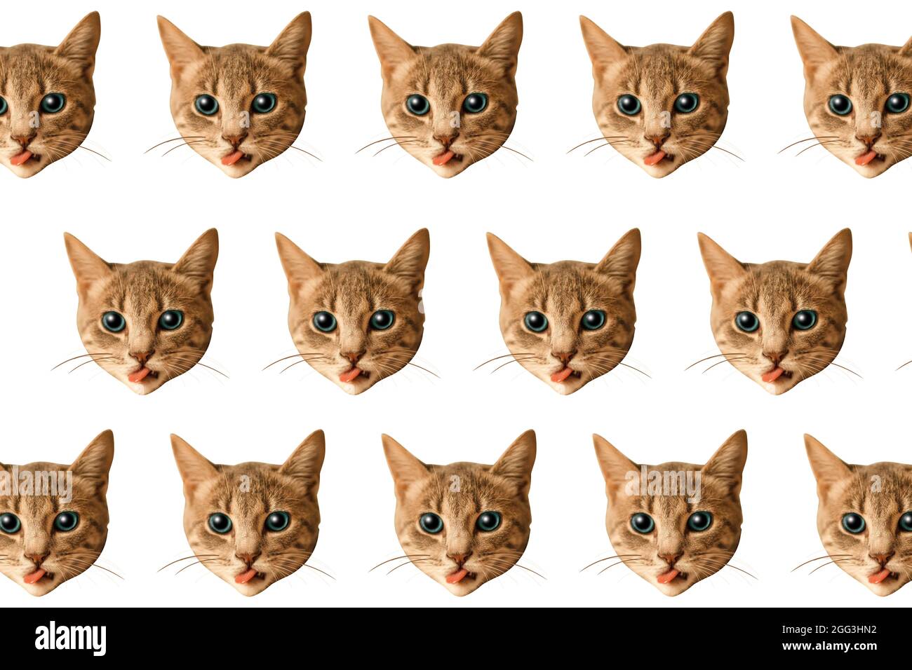Set of adorable cat faces pattern. World cat day. Minimal collage ...