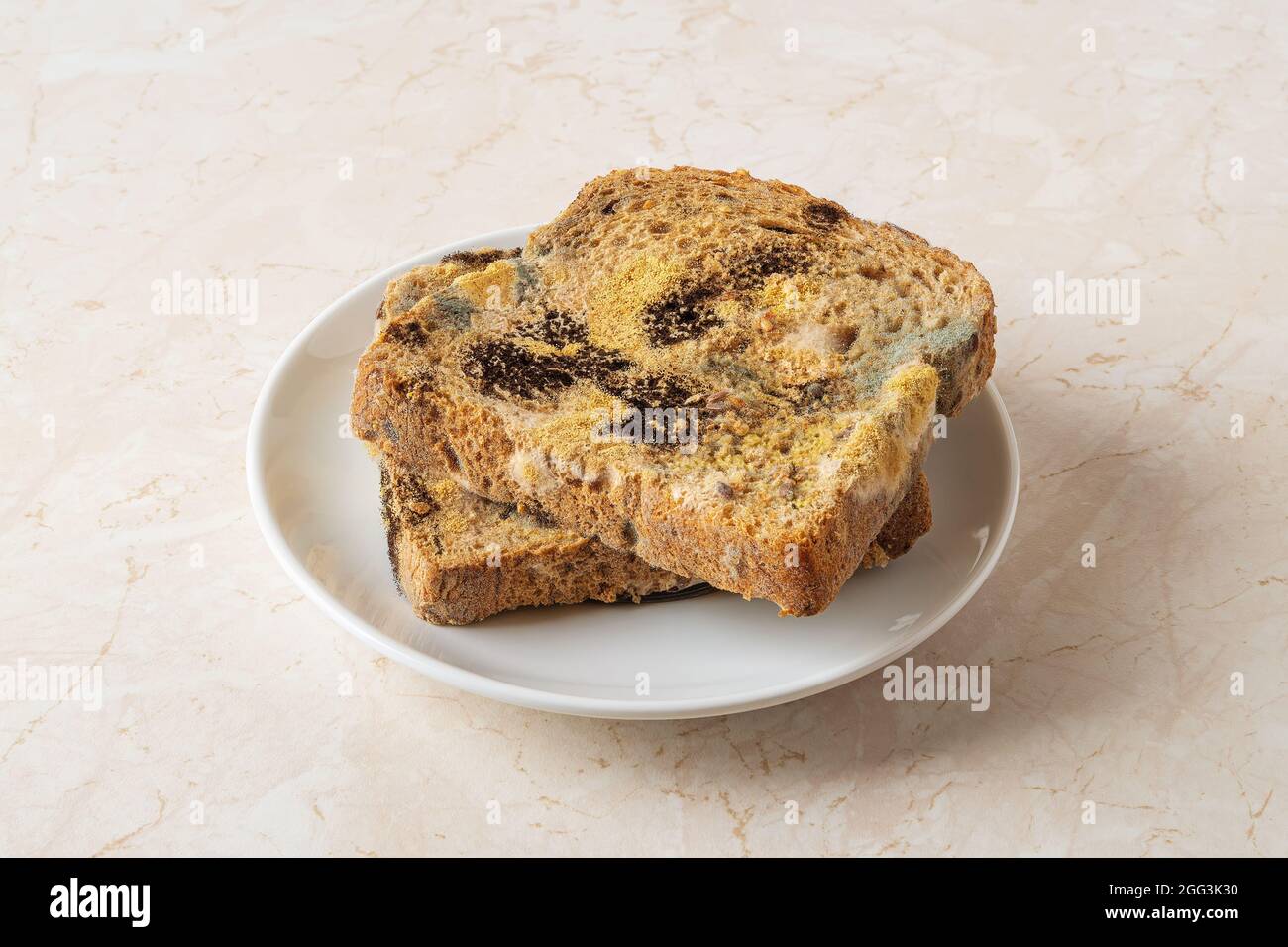 Moldy bread on a saucer. Different kinds of bread mold. Two slices of ...