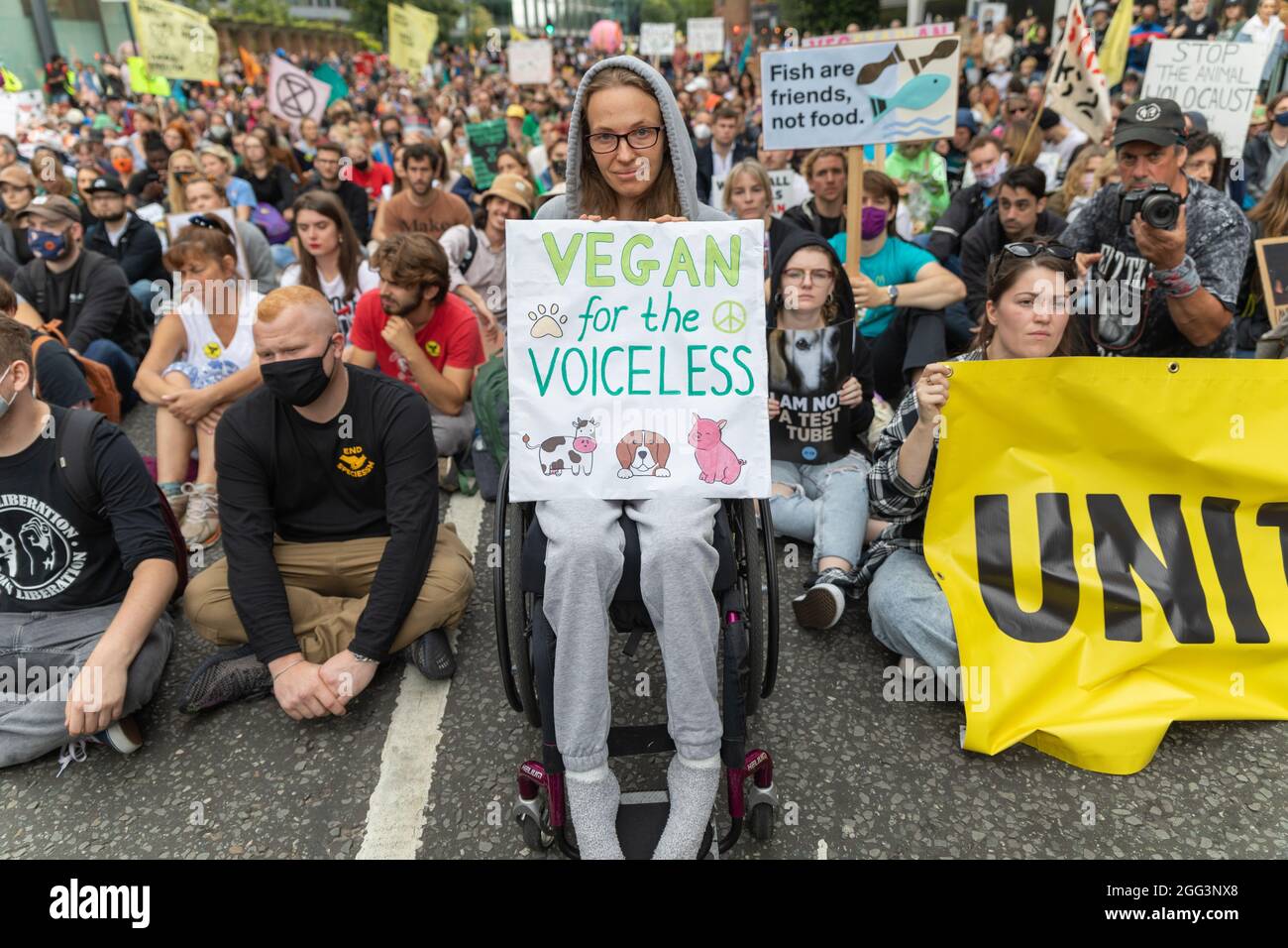 Animal rights protest uk chicken hi-res stock photography and images ...