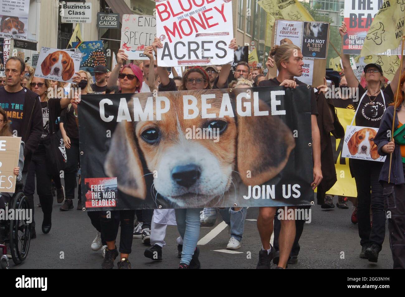 London, England. 28th August 2021. Animal Rebellion taking part in an ...