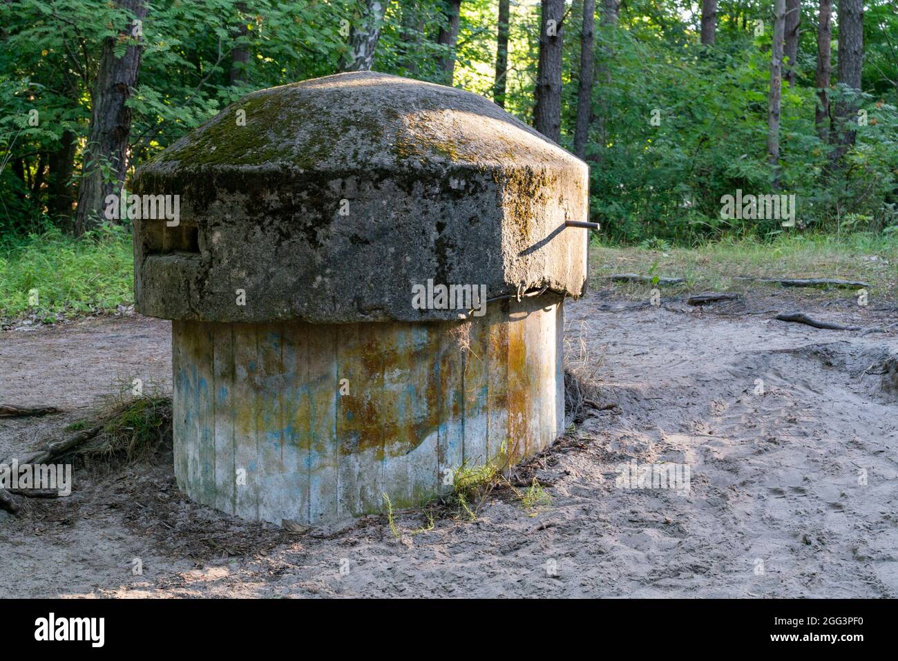 Old small concrete infantry sniper post in the woods of Hel, Poland ...