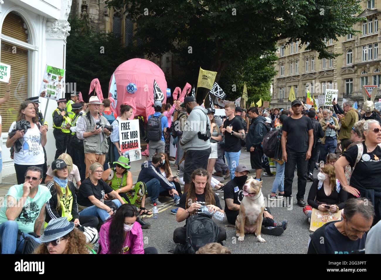 London, England. 28th August 2021. Animal Rebellion taking part in an ...