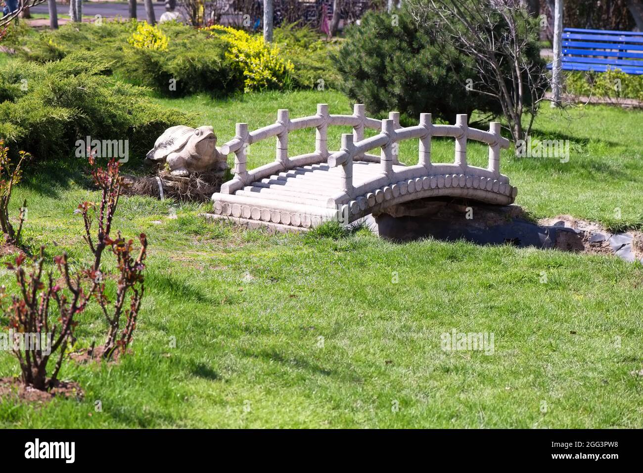 Asian turtle hi-res stock photography and images - Alamy